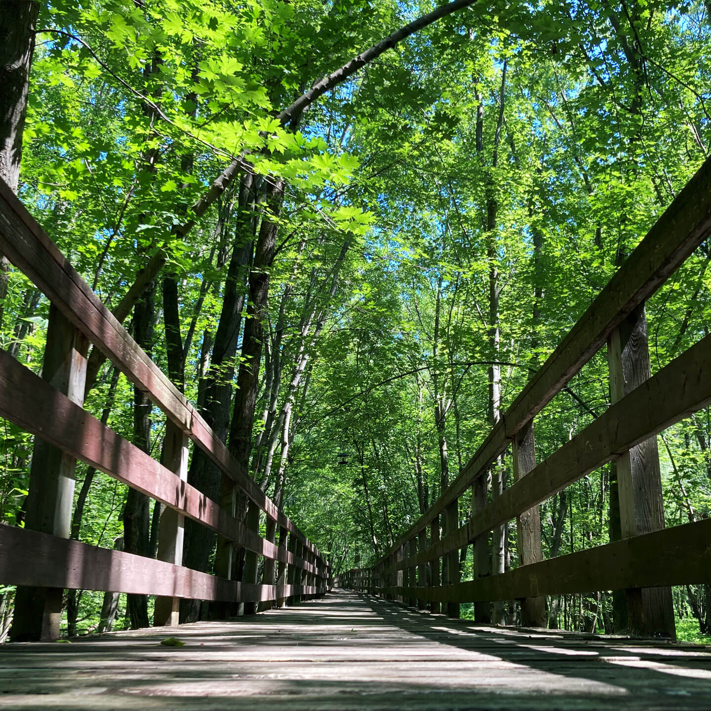 Passerelles du Lac Saint-Pierre | Tourisme Maskinongé